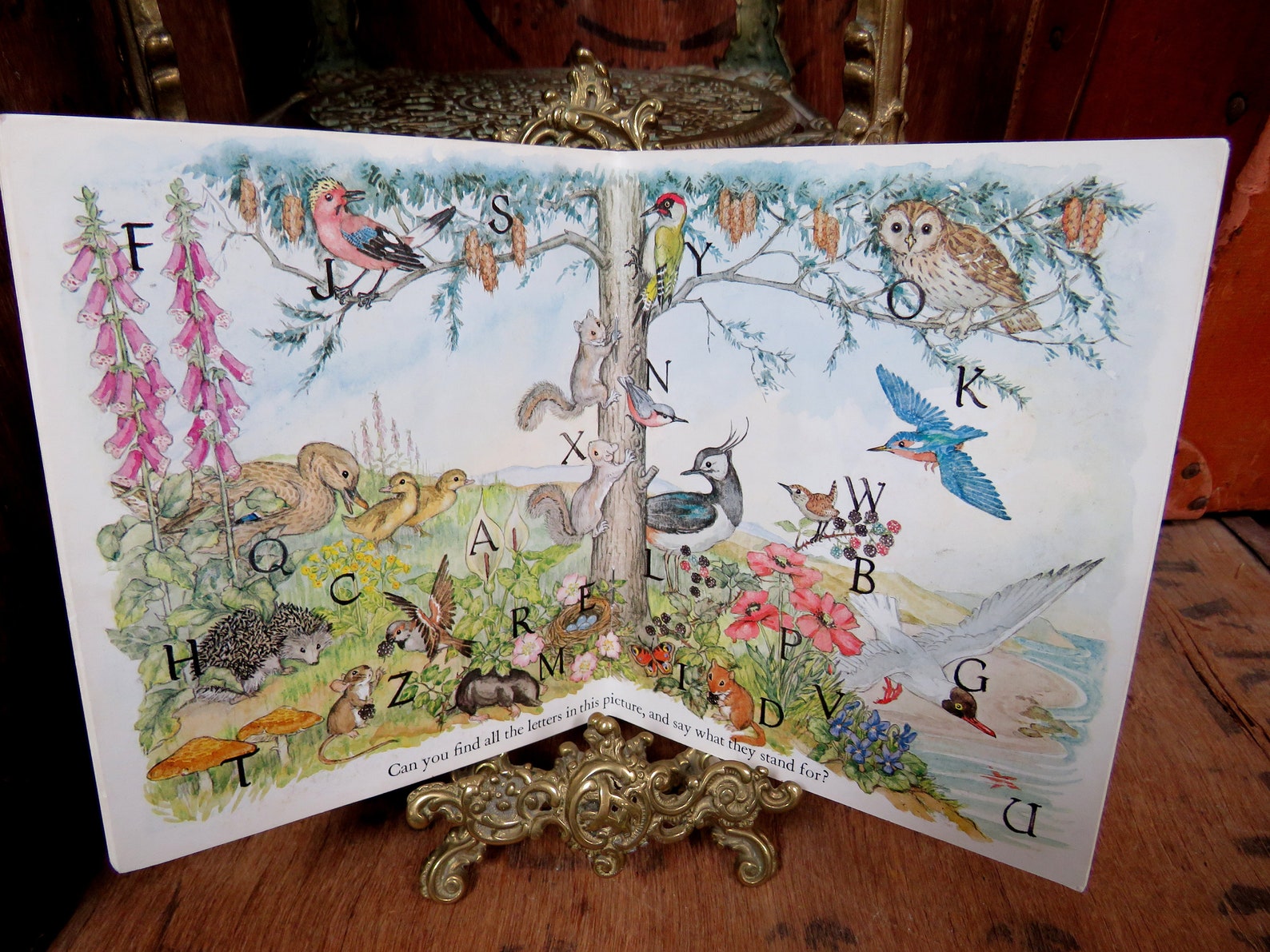 Molly Brett Book Molly Brett Alphabet Alphabet Book | Etsy UK