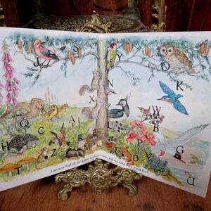 Molly Brett Book, Molly Brett Alphabet, Alphabet Book, Woodland Animals ...