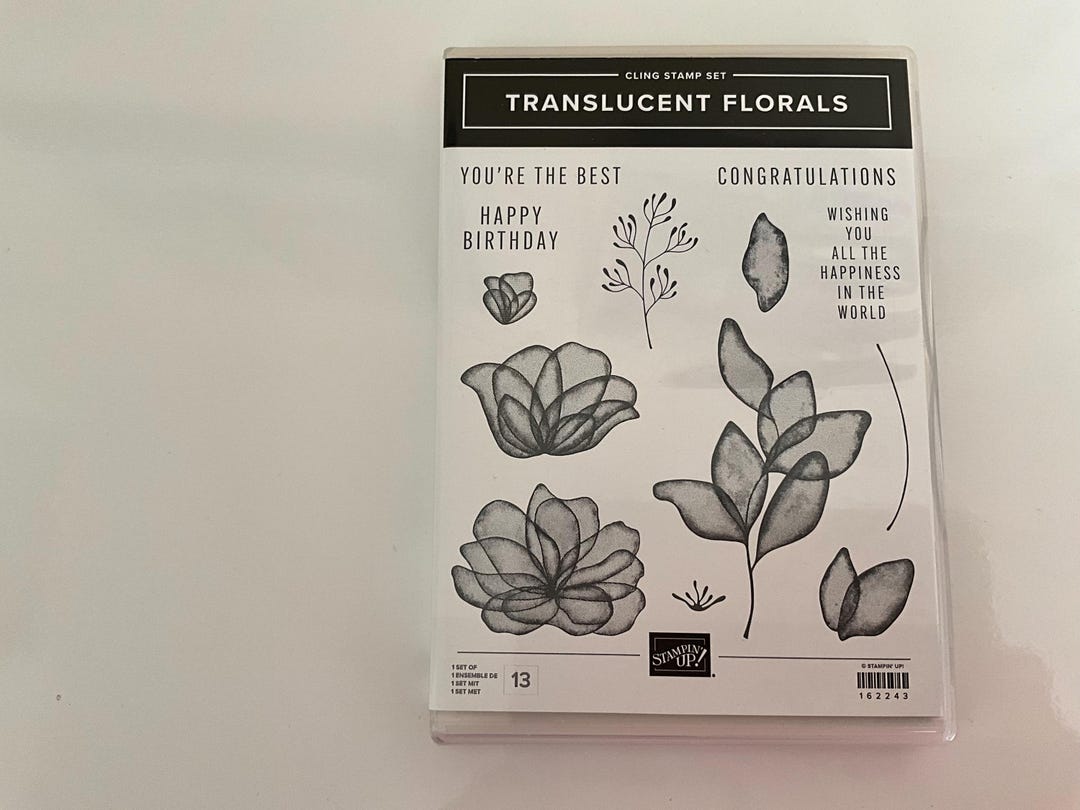Stampin up “ Translucent Florals” Stamp Set - Etsy