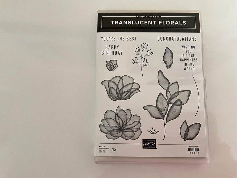 Stampin up “ Translucent Florals” Stamp Set - Etsy
