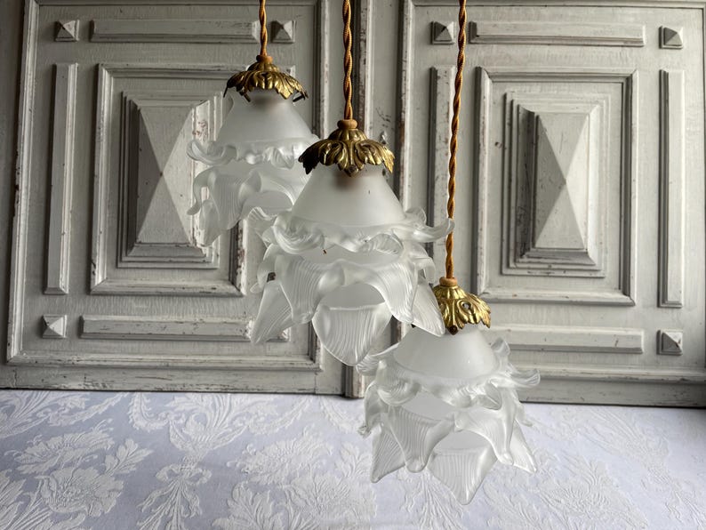 French Vintage Glass Ceiling Light SINGLE Frosted White Rose Hanging ...