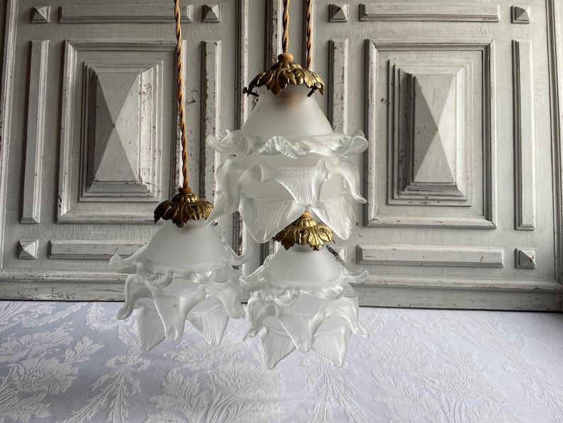 French Vintage Glass Ceiling Light SINGLE Frosted White Rose Hanging ...