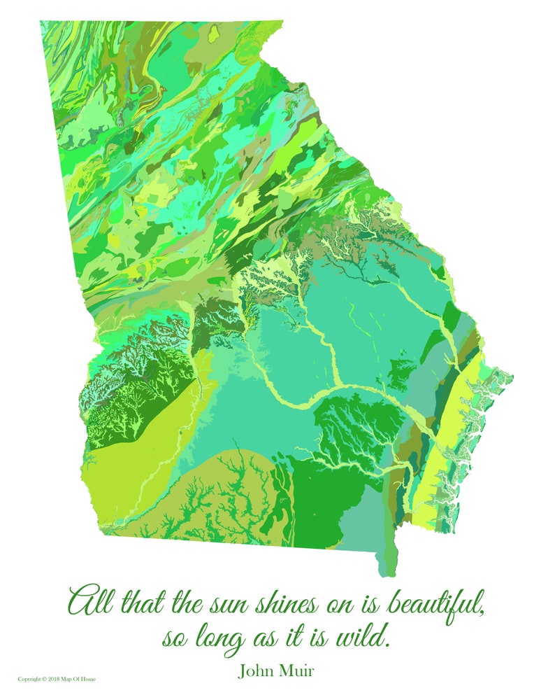Georgia Map Geology of GA John Muir Geology Map Print Map - Etsy