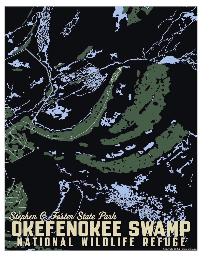 Okefenokee Swamp Okefenokee Poster Wildlife Art Georgia - Etsy