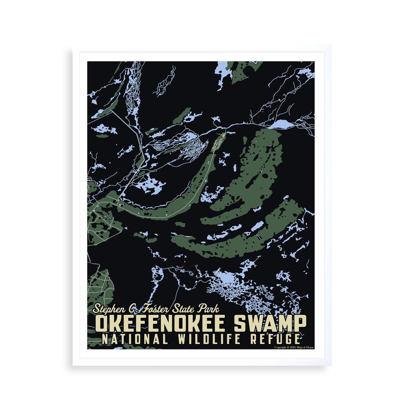 Okefenokee Swamp Okefenokee Poster Wildlife Art Georgia - Etsy