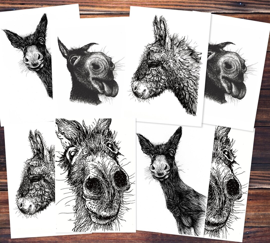Postcard Set (8 Pieces): Donkey - Etsy