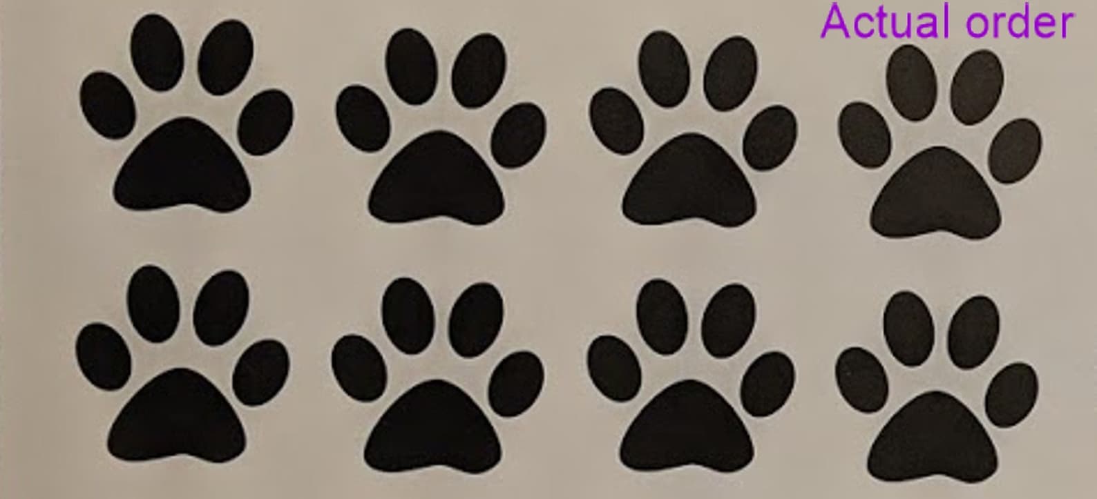 Dog Paw Prints Vinyl Wall Stickers Decals Suit Wall Car Kennel. Packs ...