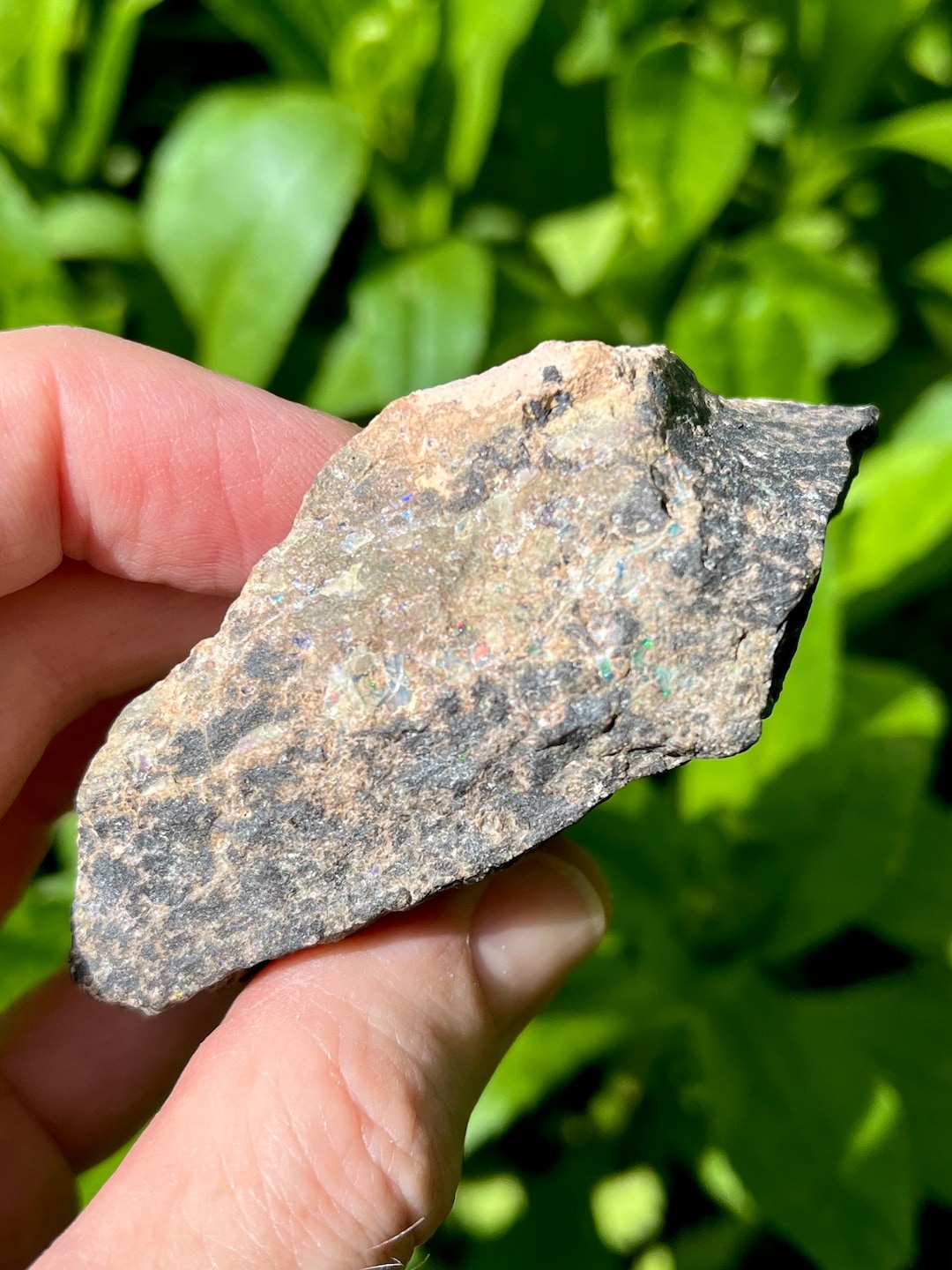 AAA Leopard Opal Rough Raw Black Matrix Opal From Mexico!!! Beautiful ...