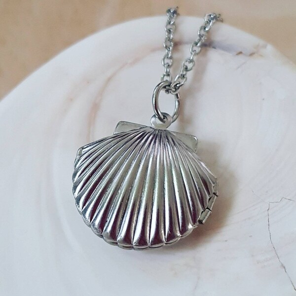 Clam Shell - Etsy