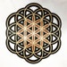 Flower of Life, Seed of Life, Wall Art, Laser Cut, Sacred Geometry - Etsy