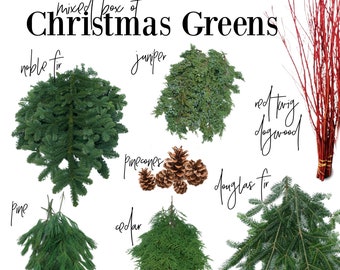 Winter Greens Box - Etsy