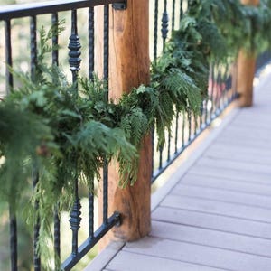 Fresh Cut Cedar Stems Christmas Greenery Oregon Pacific Northwest ...