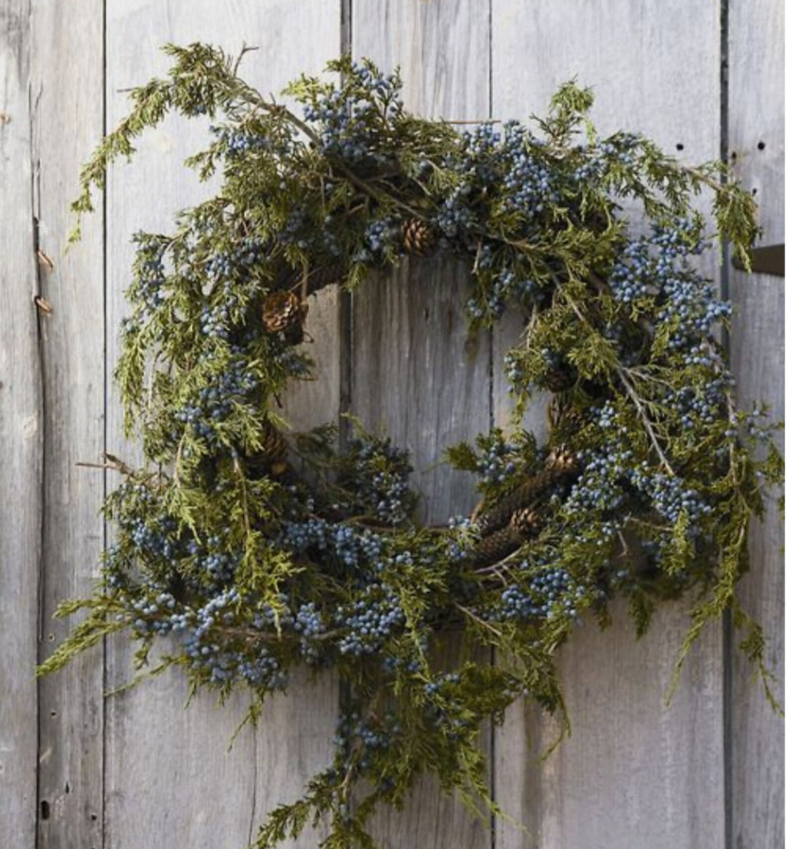 Juniper Fresh Cut Oregon Juniper Box Christmas Wedding - Etsy