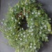 Juniper | Fresh Cut Oregon Juniper Box | Christmas | Wedding | Fresh ...
