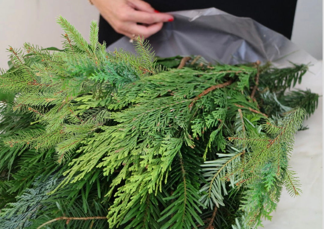 Wholesale Christmas Greens | Mixed Box West Coast Evergreens Fresh Cut ...