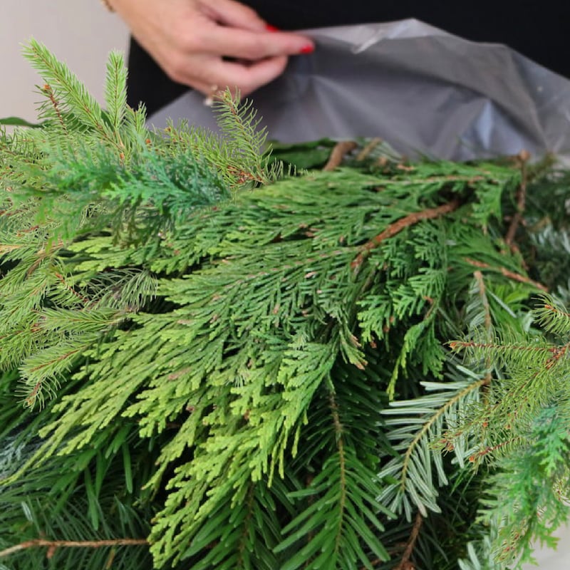 Fresh Evergreen Cuttings - Etsy