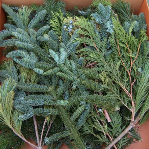 Winter Greens Box - Etsy