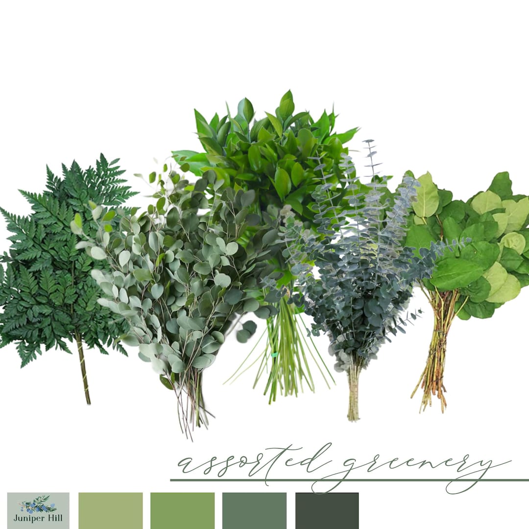 Assorted Mix Box of Greenery | DIY Wedding & Event | Fresh Cut ...