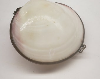 Shell Coin Purse | Etsy