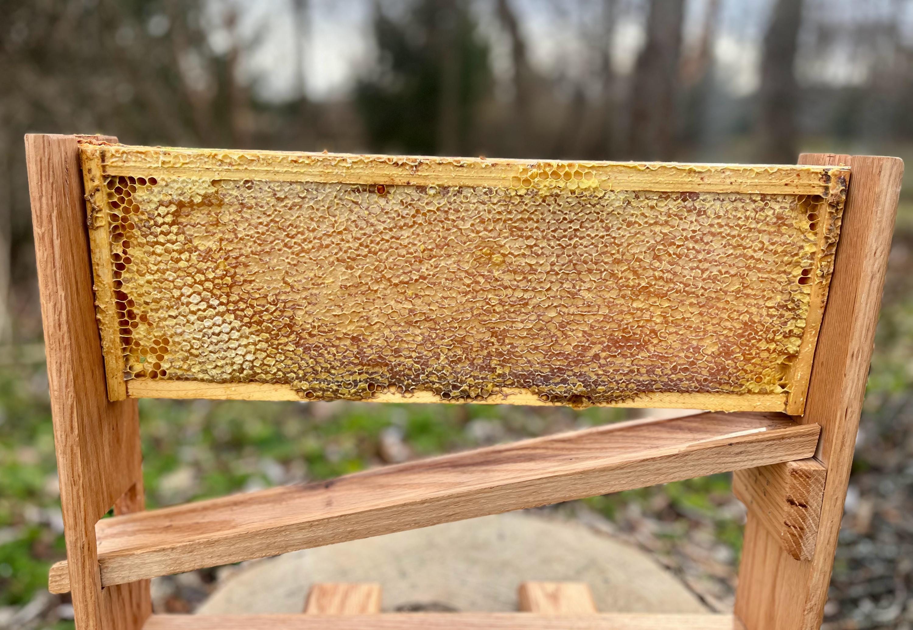Raw Honeycomb Frame: Seasonal Artisan Honey, Comb Honey - Made in the ...