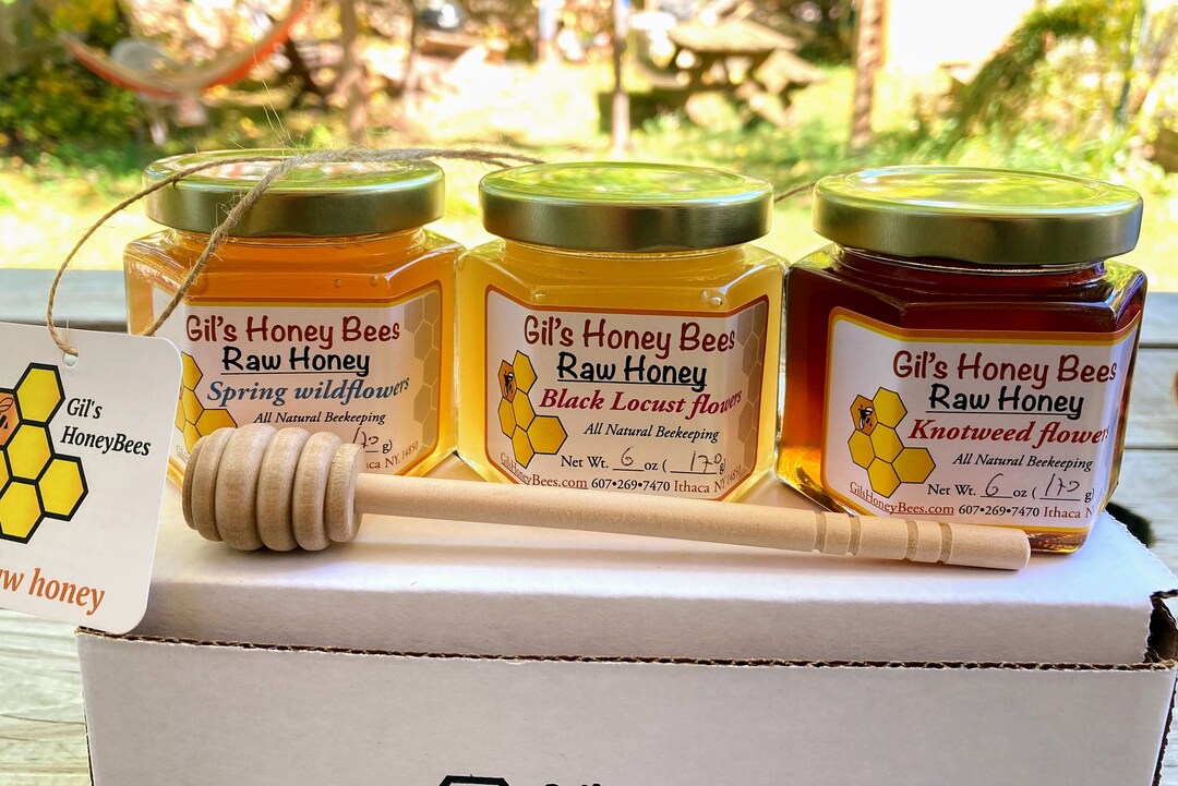 Honey Sampler With Wooden Honey Dipper. Raw Honey Gift Set With a ...