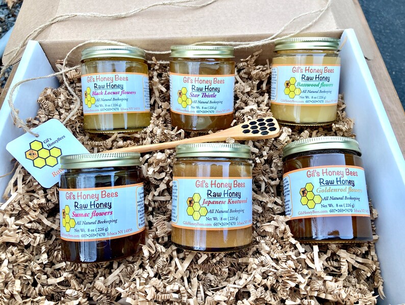 Artisan Raw Honey Gift Box: 6 Honey Varieties & Wooden Dipper - Etsy