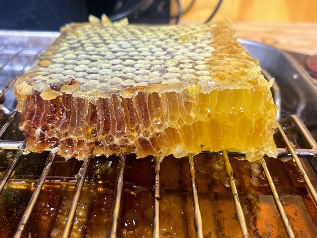 Raw Comb Honey: Fall Wildflower Honeycomb, NY Finger Lakes - Etsy
