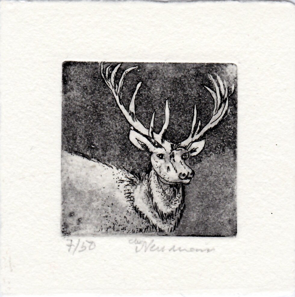 Deer - Forest - Miniature - Original Etching - Printmaking - Etching ...