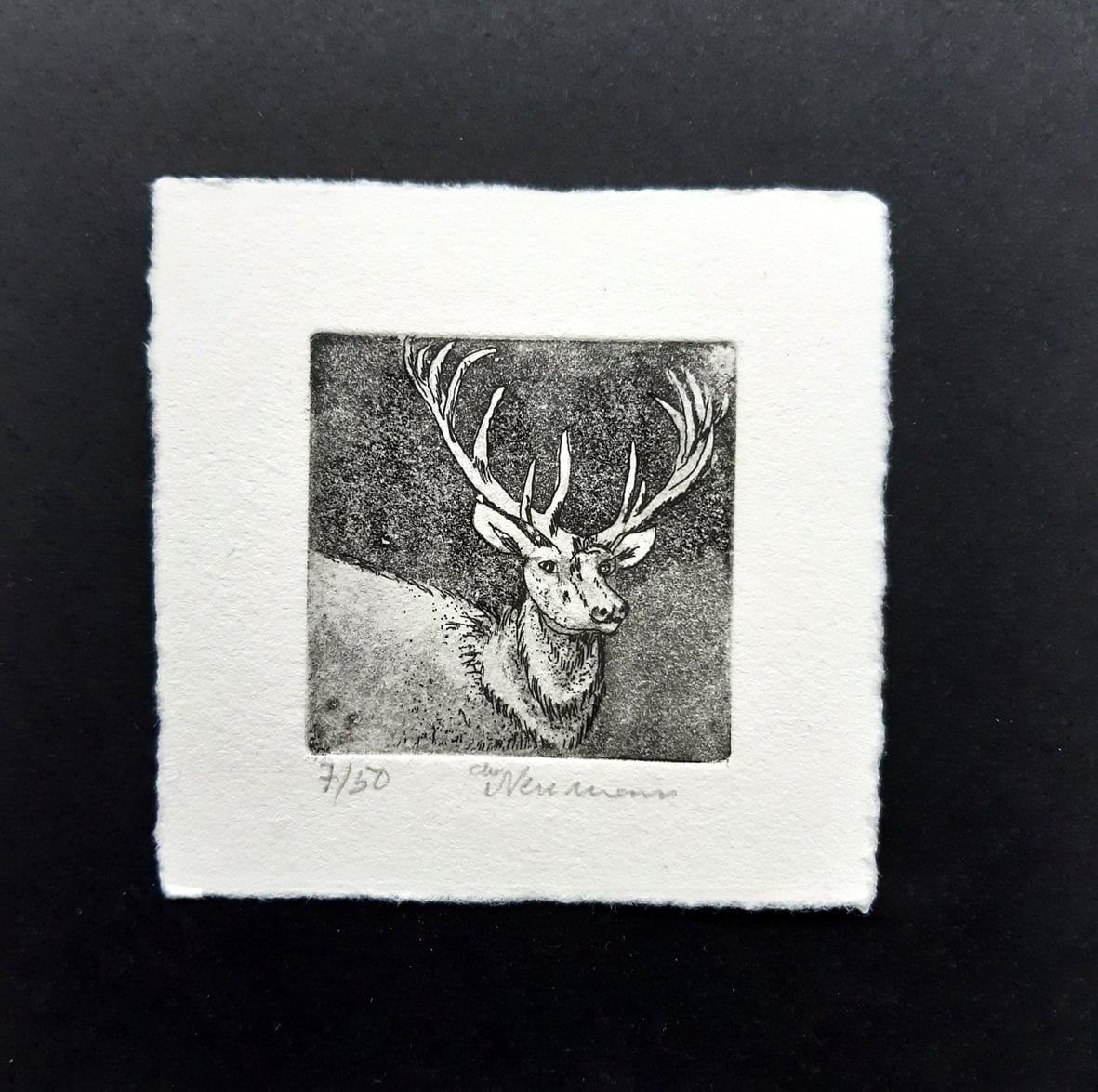 Deer - Forest - Miniature - Original Etching - Printmaking - Etching ...