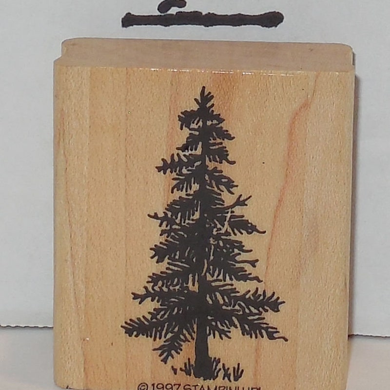 Pine Tree Stamp - Etsy