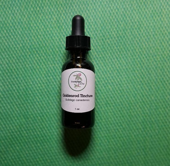 Goldenrod Tincture - Etsy
