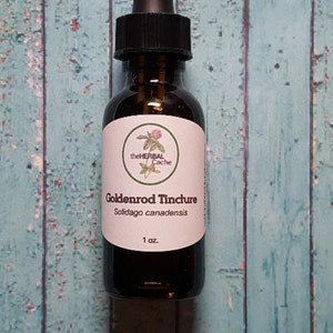 Goldenrod Tincture - Etsy