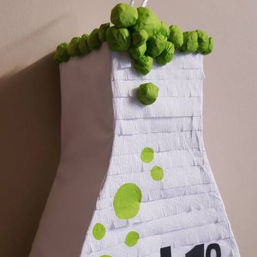 Science Beaker Pinata custom Colors - Etsy