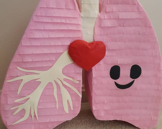 Custom Anatomical Pinata body Parts - Etsy