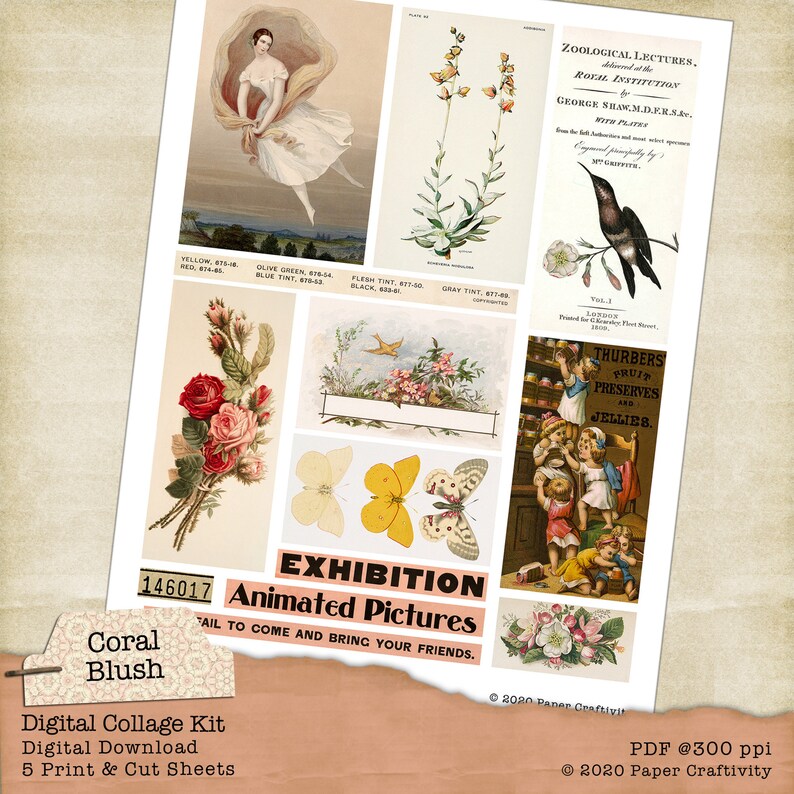 Coral Blush Digital Collage Kit, Digital Printable Ephemera, Ephemera ...