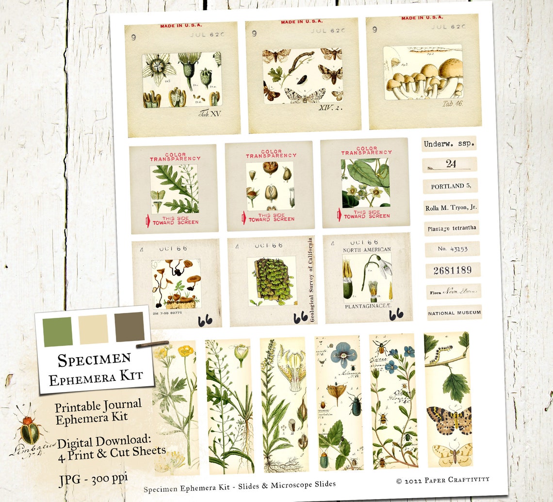 Printable Specimen Ephemera Kit Nature Junk Journal Kit - Etsy
