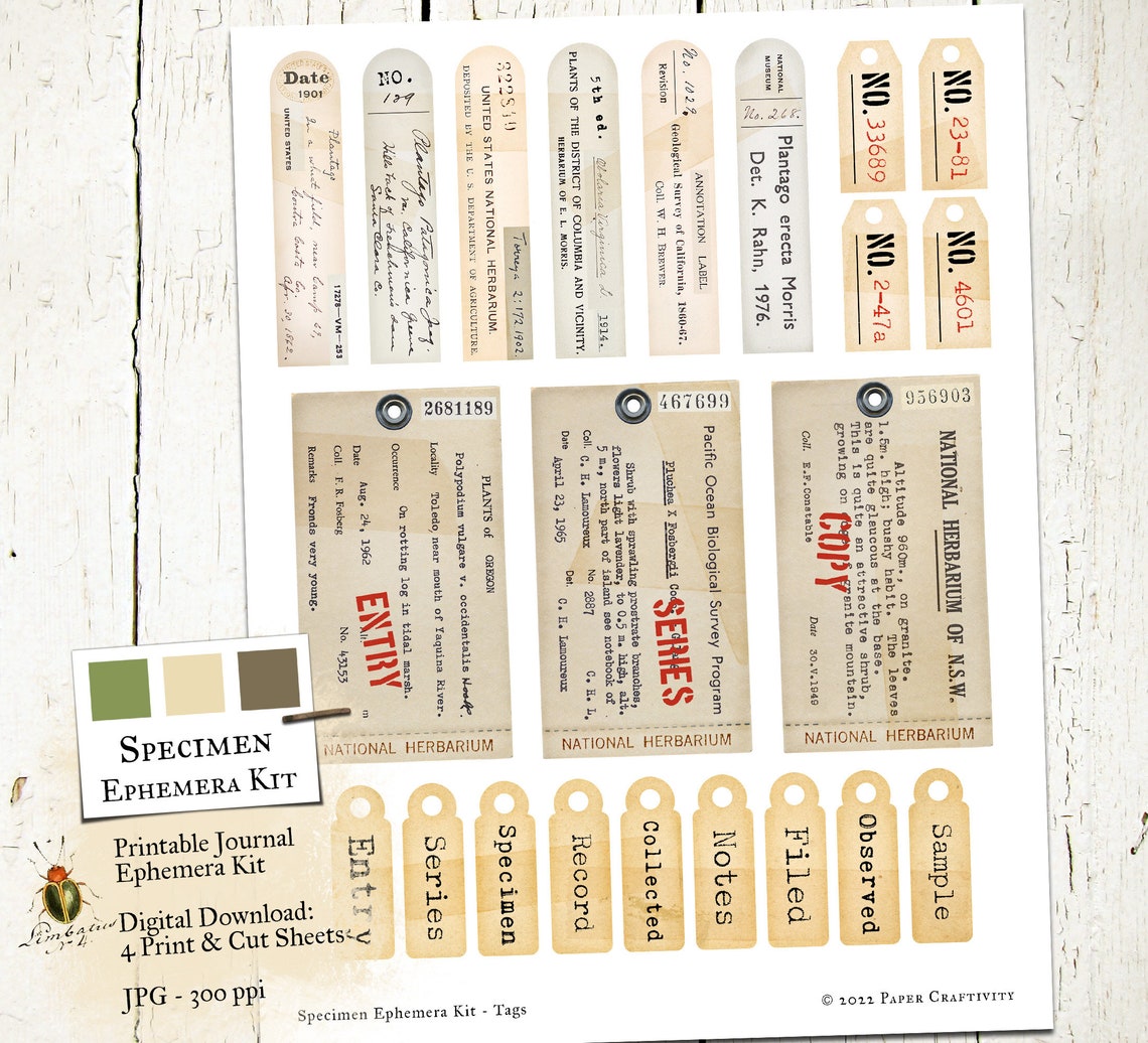 Printable Specimen Ephemera Kit Nature Junk Journal Kit - Etsy