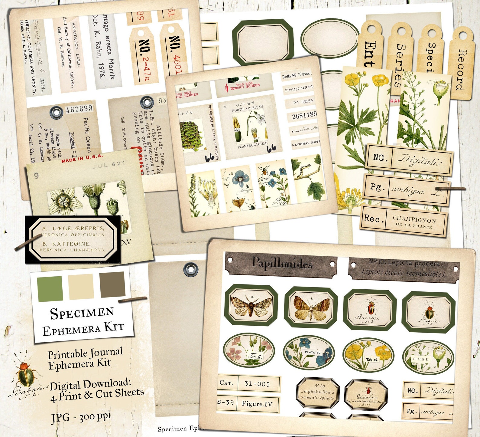 Printable Specimen Ephemera Kit Nature Junk Journal Kit - Etsy
