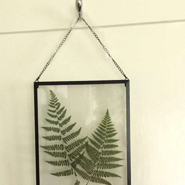 Pressed Fern Framed - Etsy