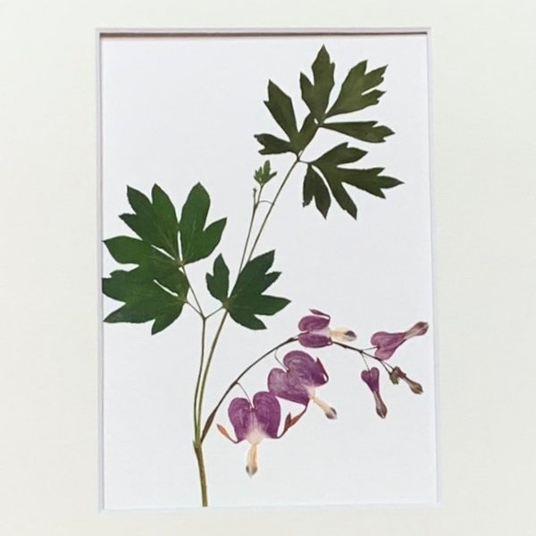 Bleeding Hearts Art - Etsy