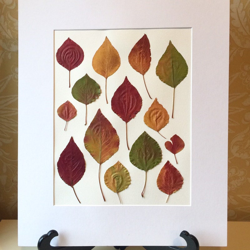 Pressed Leaf Art - Etsy