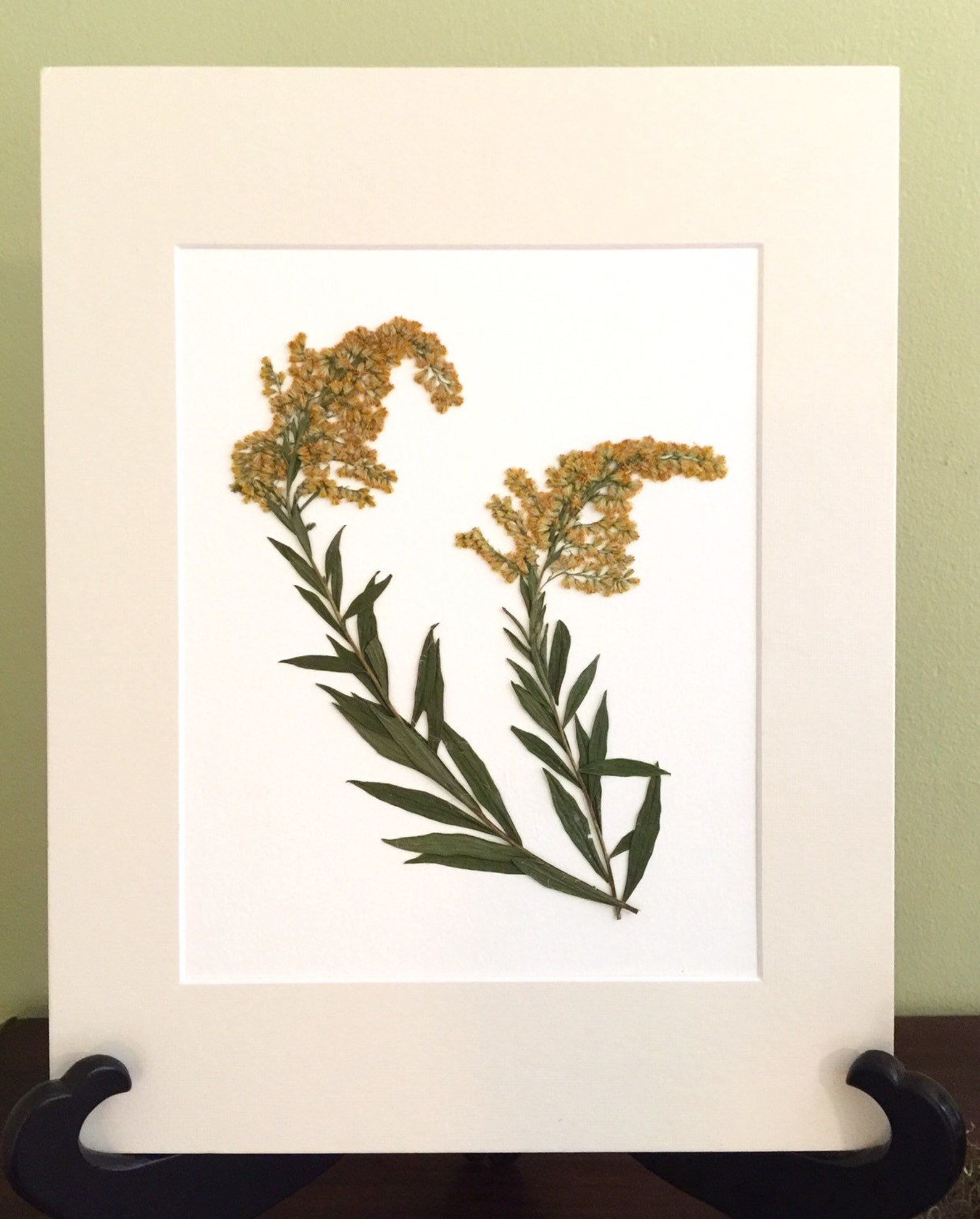 Real Pressed Flower Art Pressed Botanical Art Herbarium of | Etsy