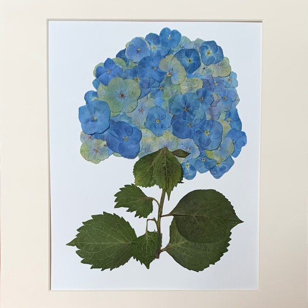 Hydrangea Original Art - Etsy