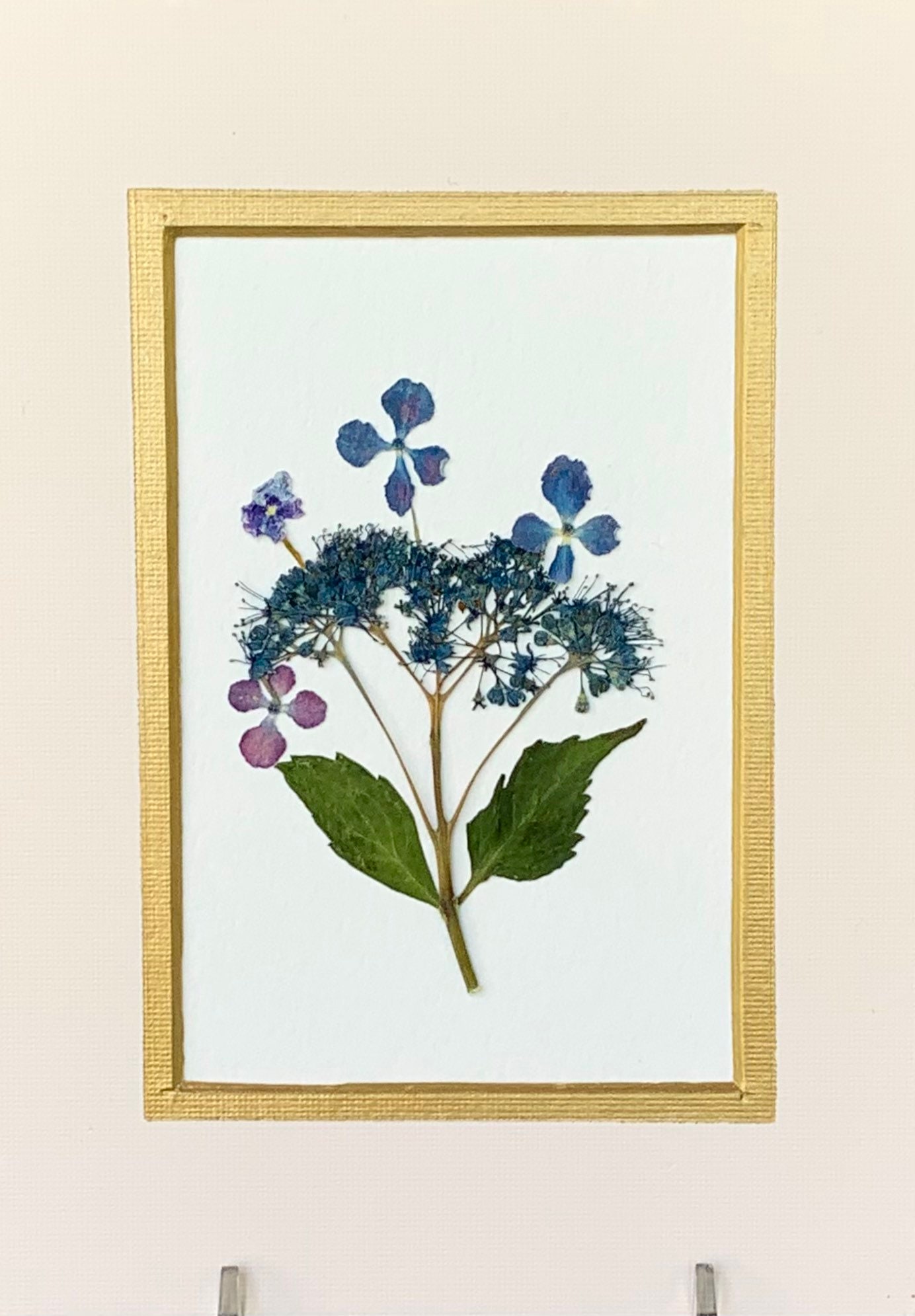 Real Original Pressed Flower Art Pressed Botanical Art | Etsy