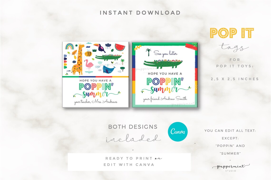 Summer Tags End of Year Pop It Gift Tags Pop-it Gift Labels | Etsy