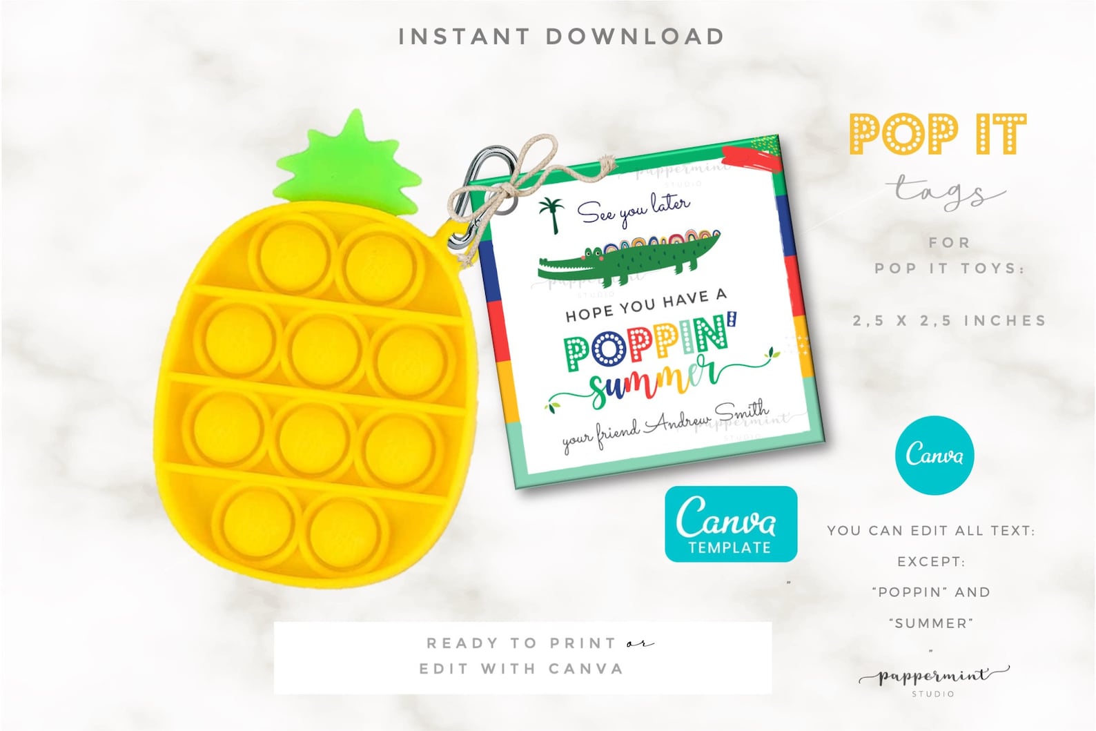 Summer Tags End of Year Pop It Gift Tags Pop-it Gift Labels | Etsy