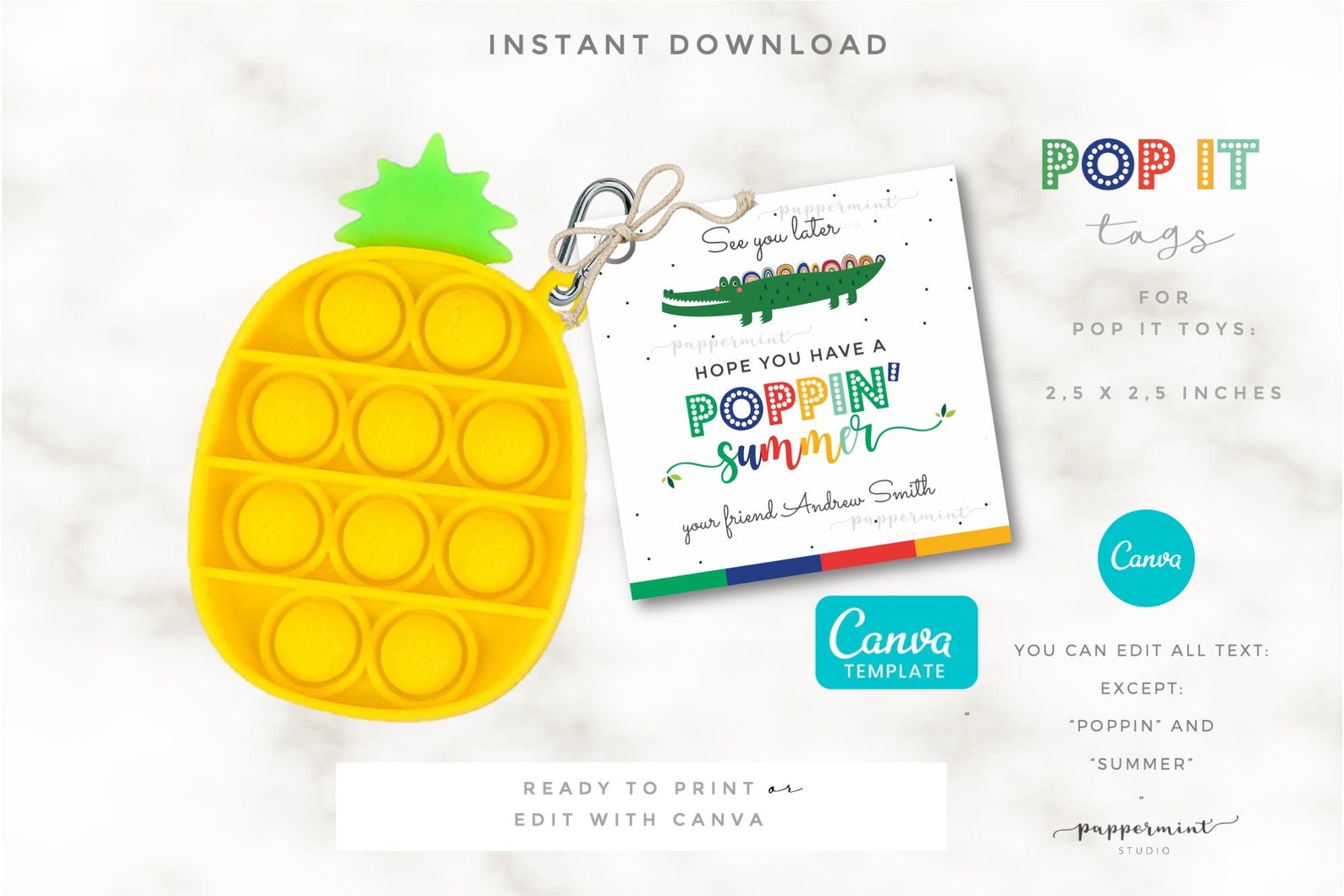 Pop It Gift Tags Hope You Have a Poppin Summer Pop-it Gift - Etsy