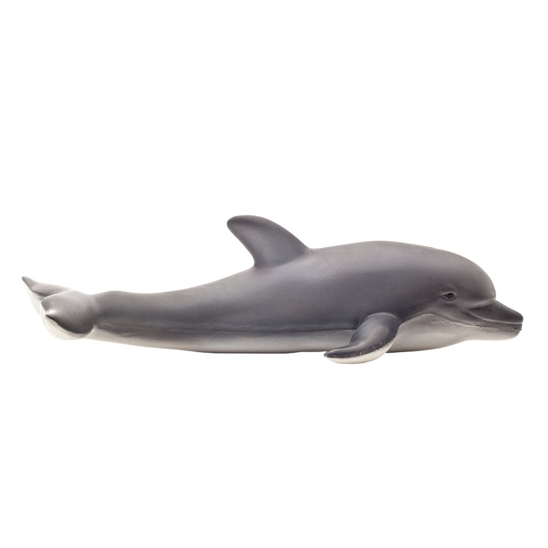 Natural Rubber Marine Toy Dolphin, Fully Moulded, Air-filled 12 Months ...