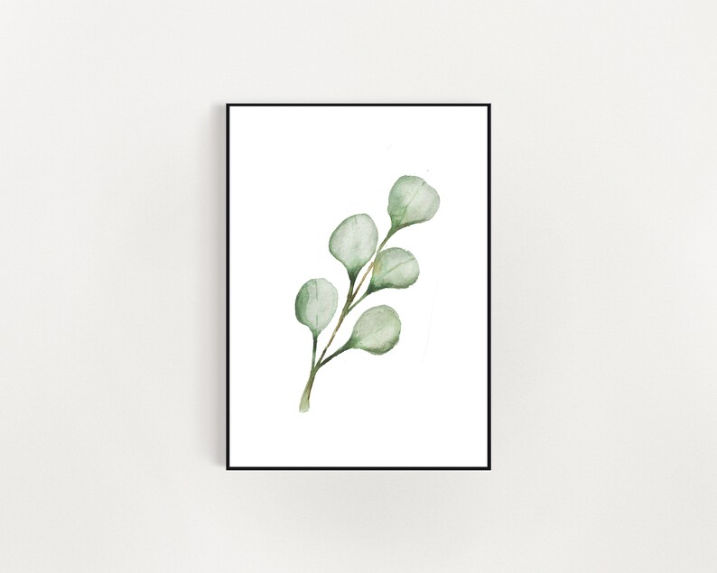 Eucalyptus Silver Dollar Eucalyptus Greenery White Floral Farmhouse ...