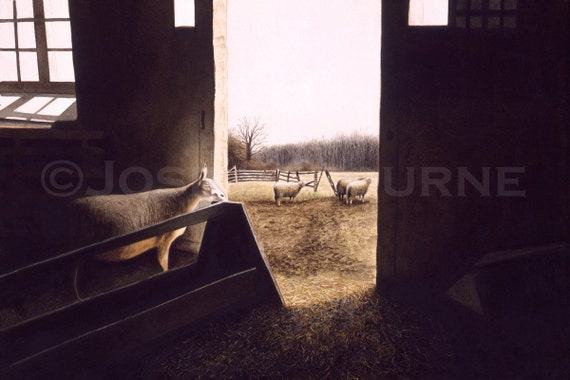 Glancing Out a Dipiction of a Timid Sheep Stearing Out of a | Etsy